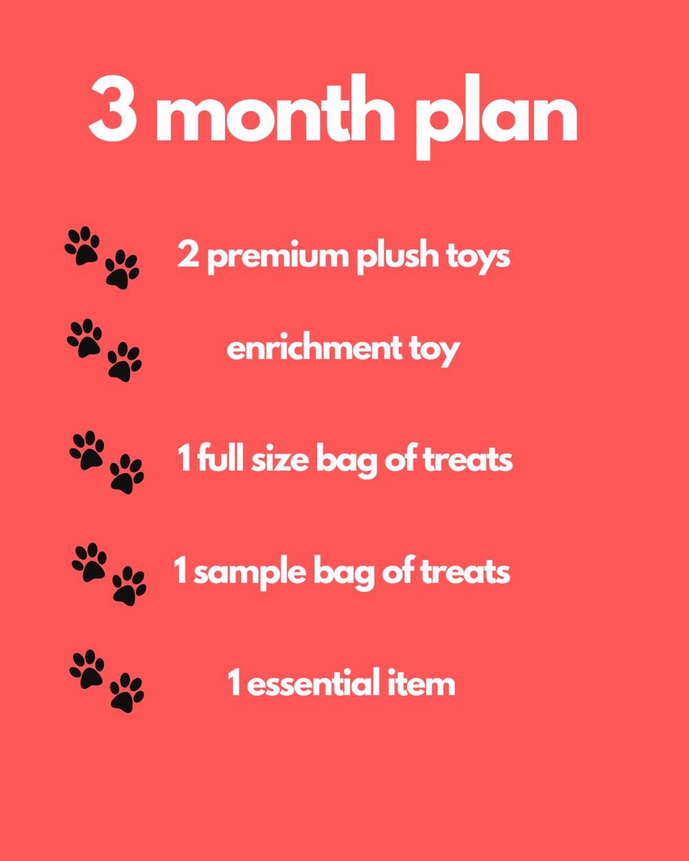 Swaggy Dog | Premium Dog Toy Subscription Box & Treats